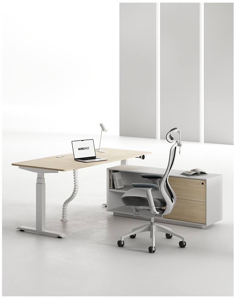 Height Adjustable Standing Desks | WORKSPACE