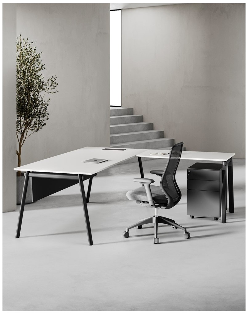 Executive Desks and Workstations, Meeting Tables and Reception Desks ...