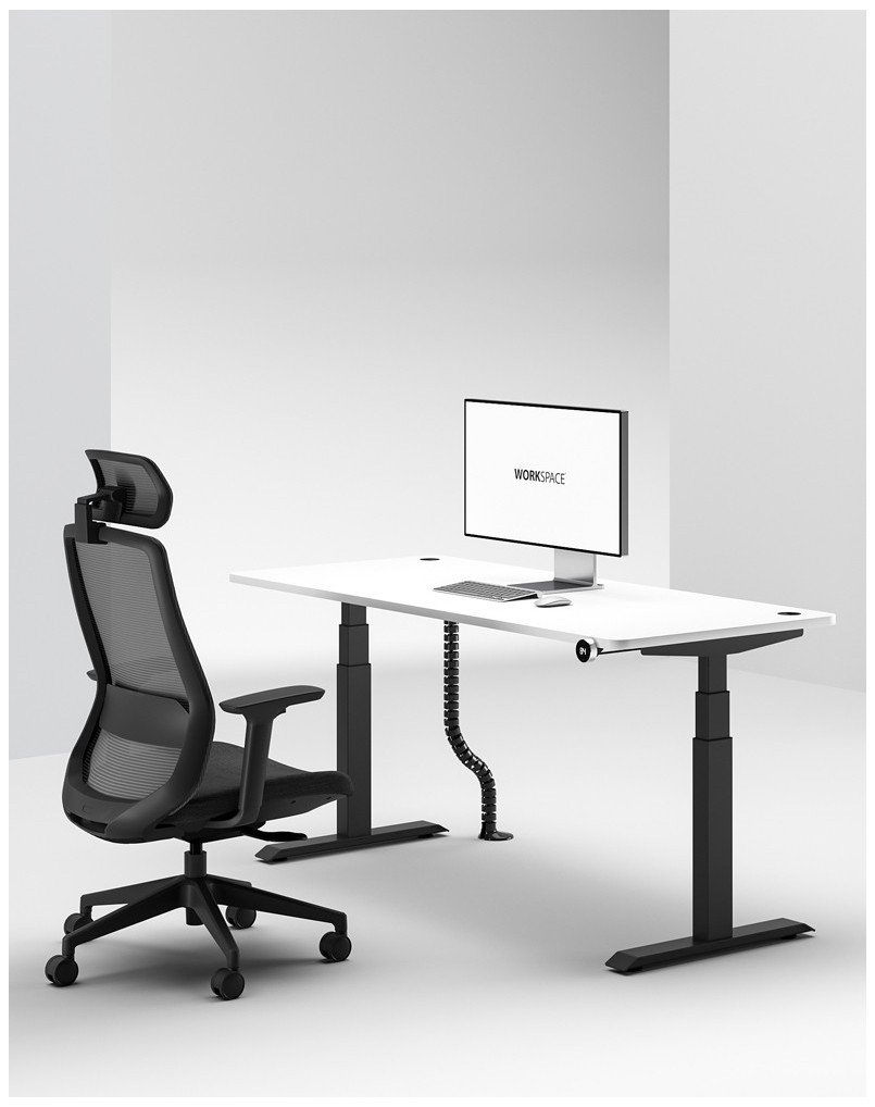 Max Series Dual Motor Electric Height Adjustable Standing Desks | W...