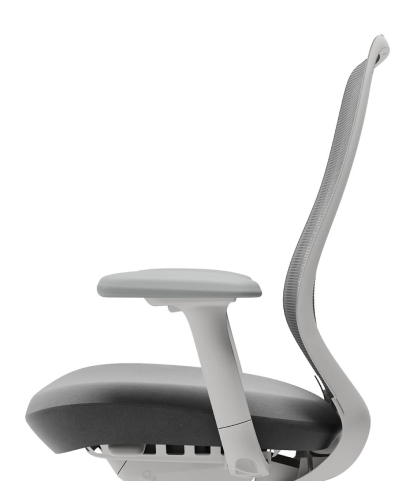 AX Performance Ergonomic Black Frame Executive Chair | Workspace Of...